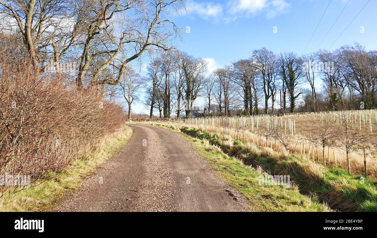 Fife Coastal Path from Kincardine to Rosyth - Scotland - UK Stock Photo ...