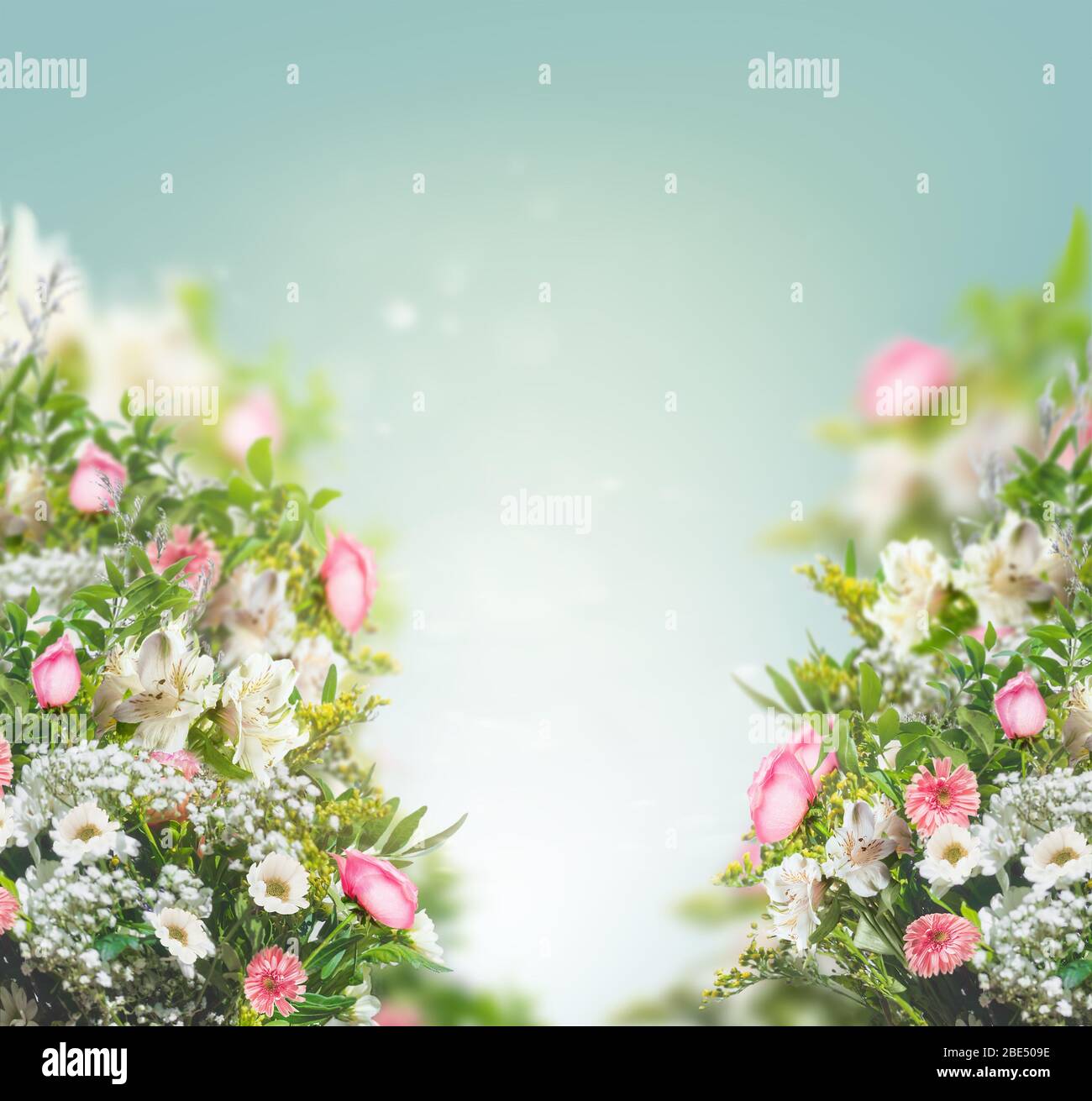 Beautiful flowers at sunny blue background. Frame. Border. Garden and ...