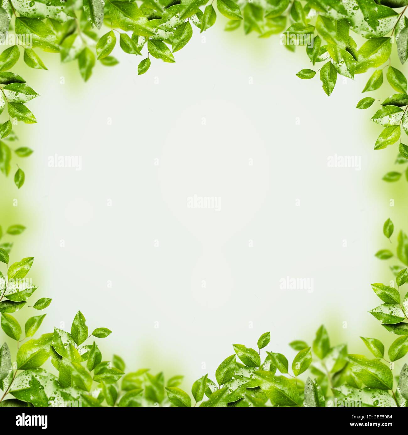 Beautiful frame or overlay made with green leaves and branches. Spring ...