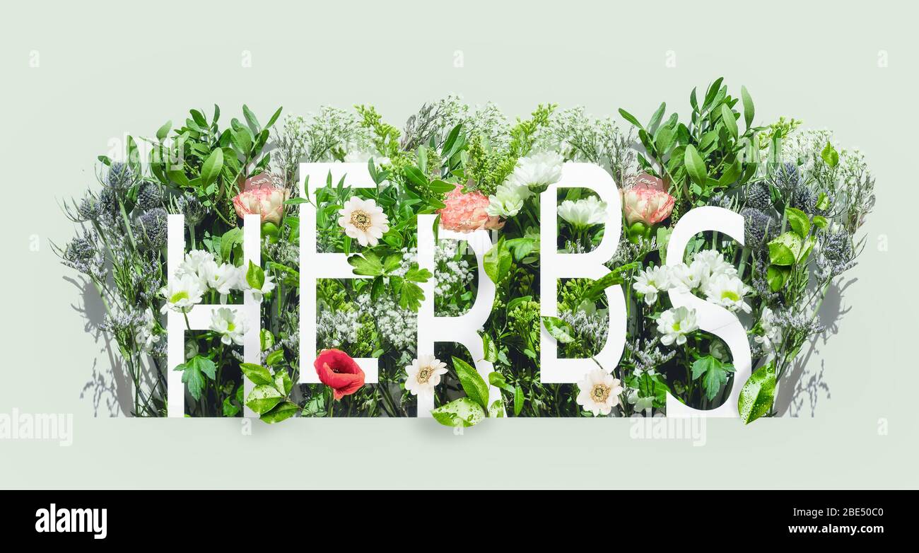 Creative herbs and flowers concept. Various herbs and flowers border on ...