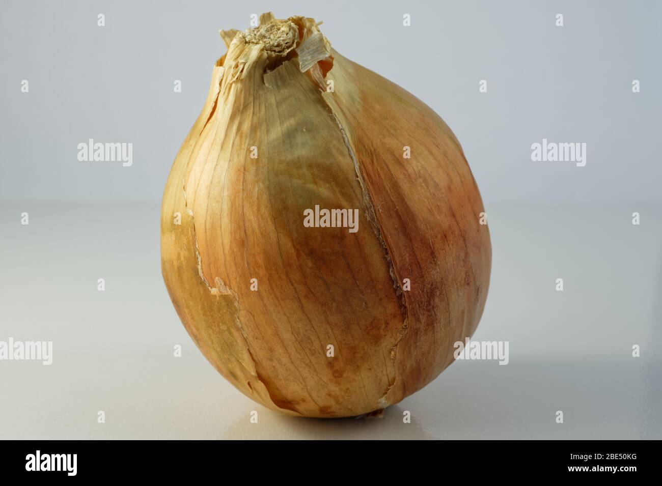 Brown onion peel hi-res stock photography and images - Alamy
