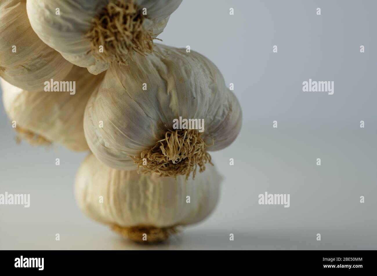 Garlic roots hi-res stock photography and images - Alamy