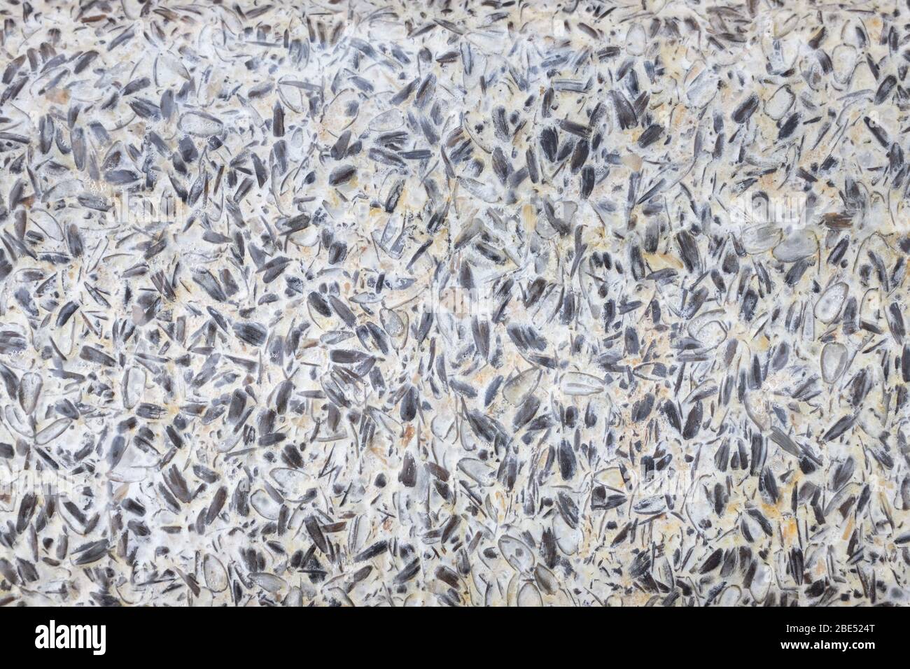 Rotten husk from sunflower seeds as a background or backdrop Stock ...