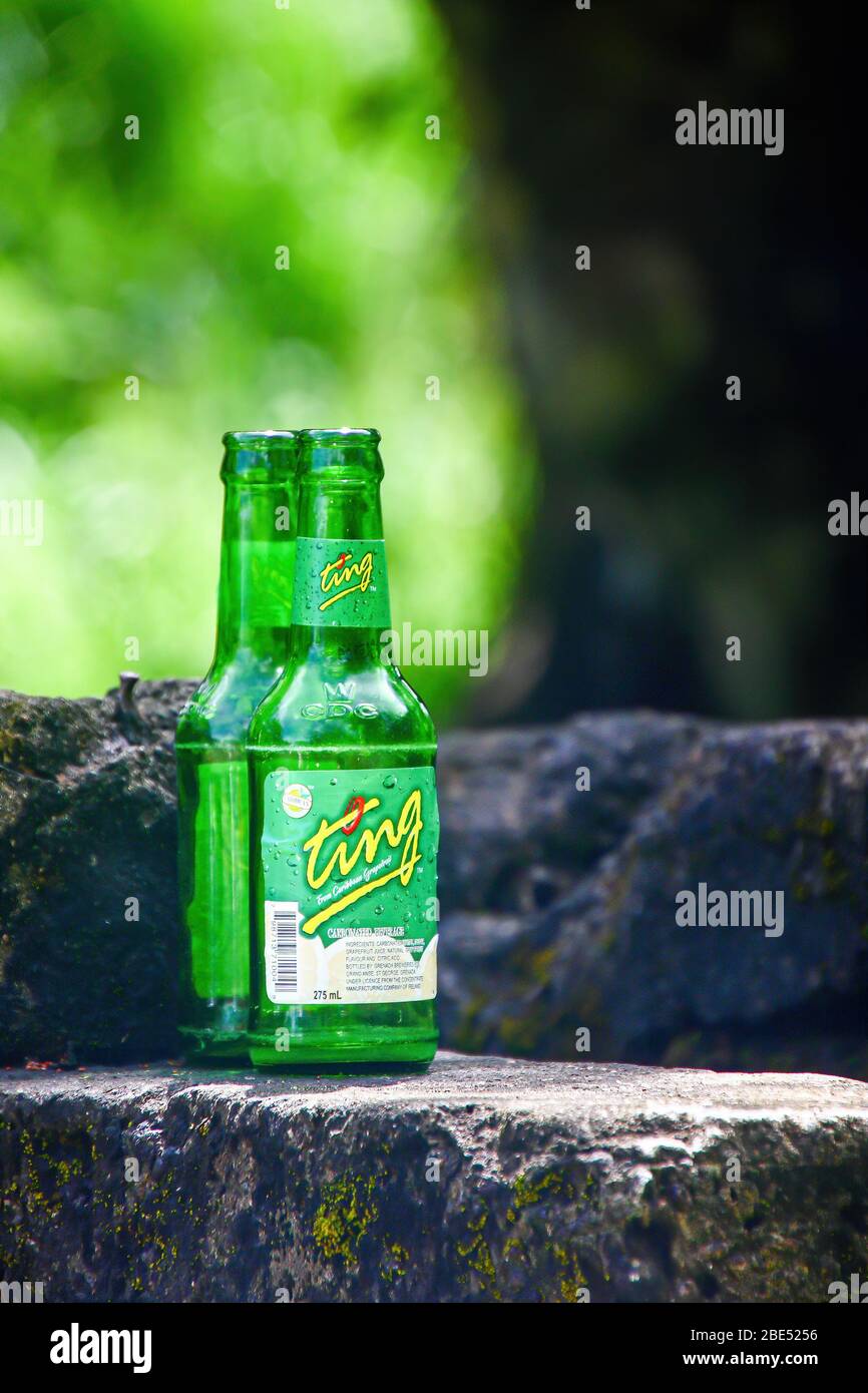 Bottles of Ting Soft Drink Stock Photo - Alamy