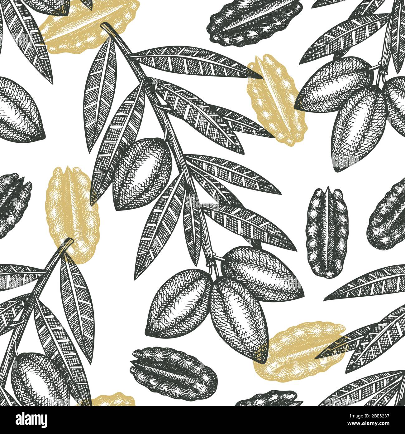Hand drawn pecan branch and kernels seamless pattern. Organic food ...