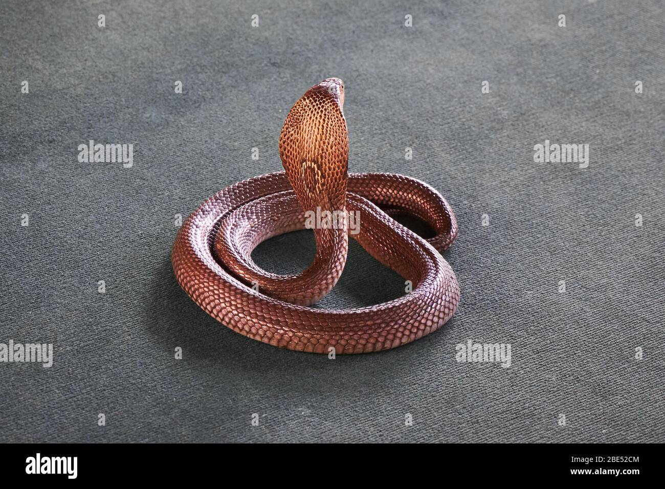 Cobra ball hi-res stock photography and images - Alamy