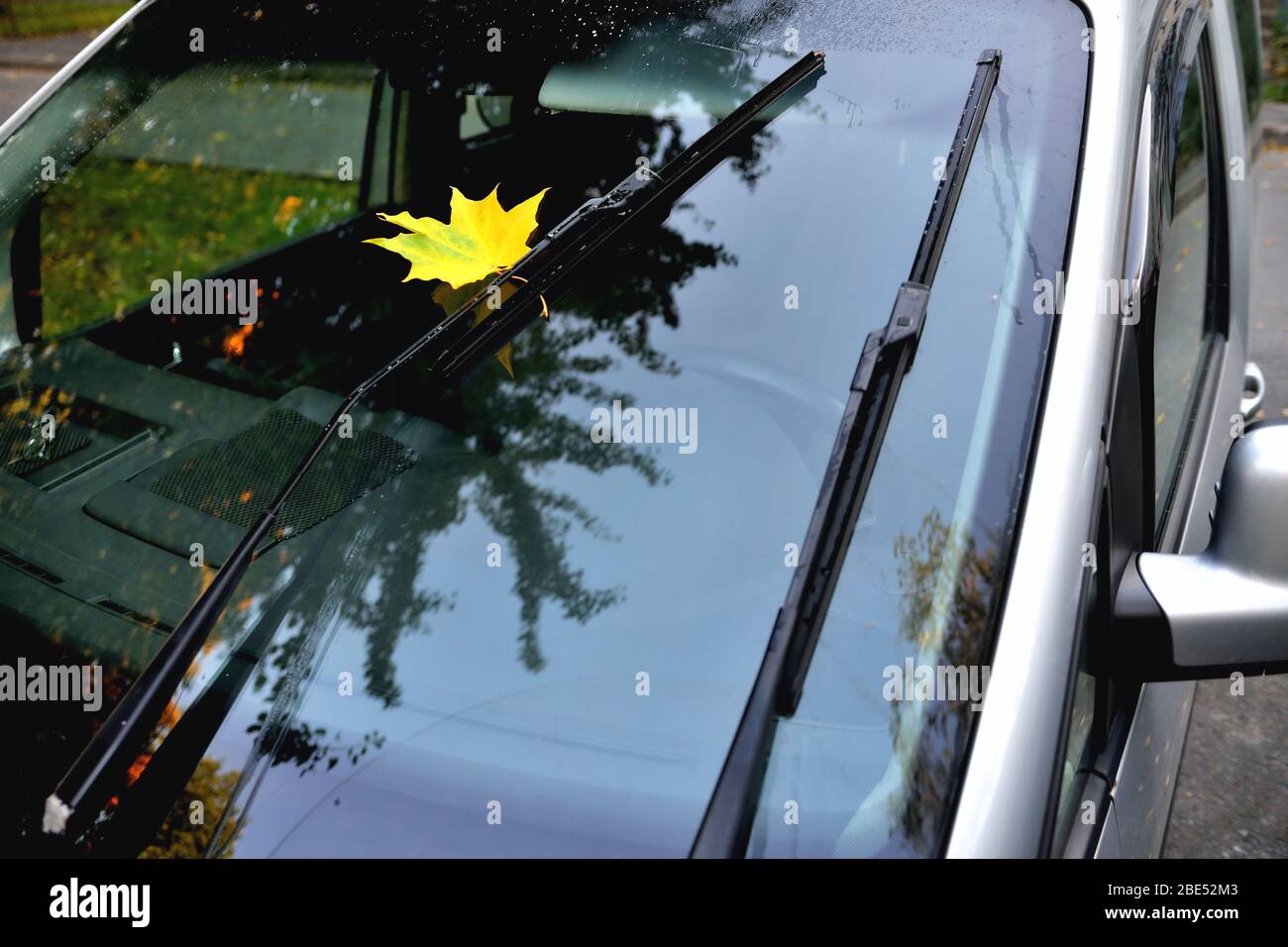 Reflection in windshield hi-res stock photography and images - Alamy