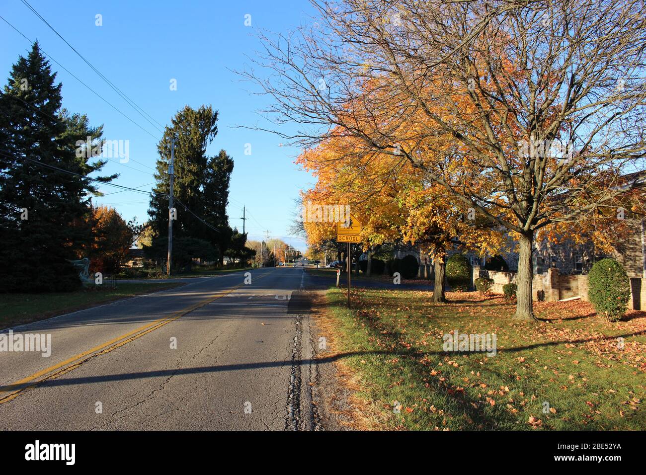 Groveport Ohio streets with colorful trees, family of geese on a pond ...