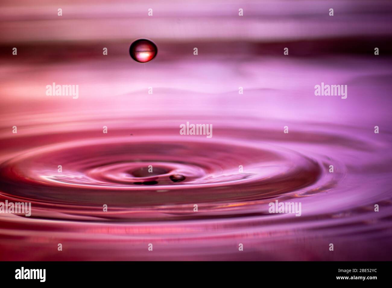purple splash in to the water Stock Photo - Alamy