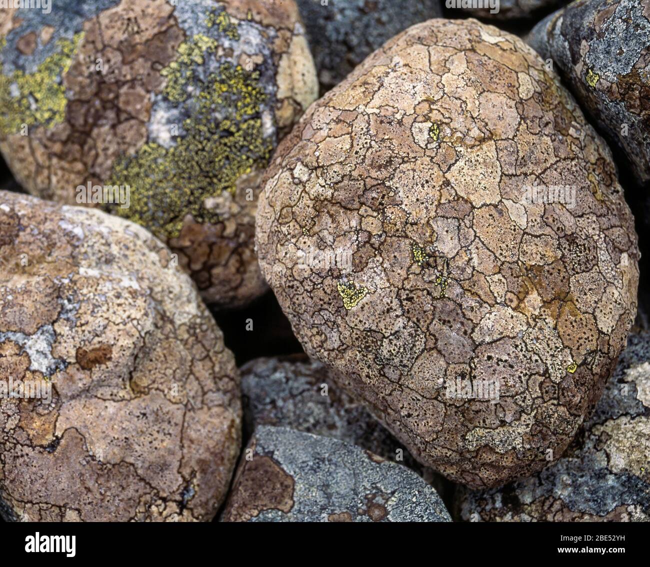 Uk colonies hi-res stock photography and images - Alamy