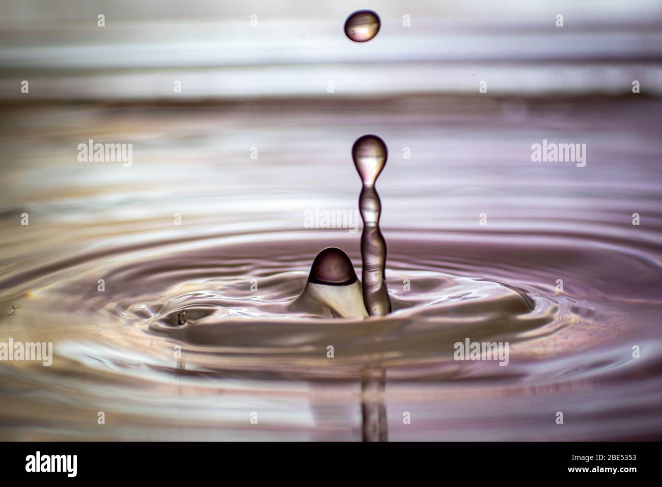 purple splash in to the water Stock Photo - Alamy