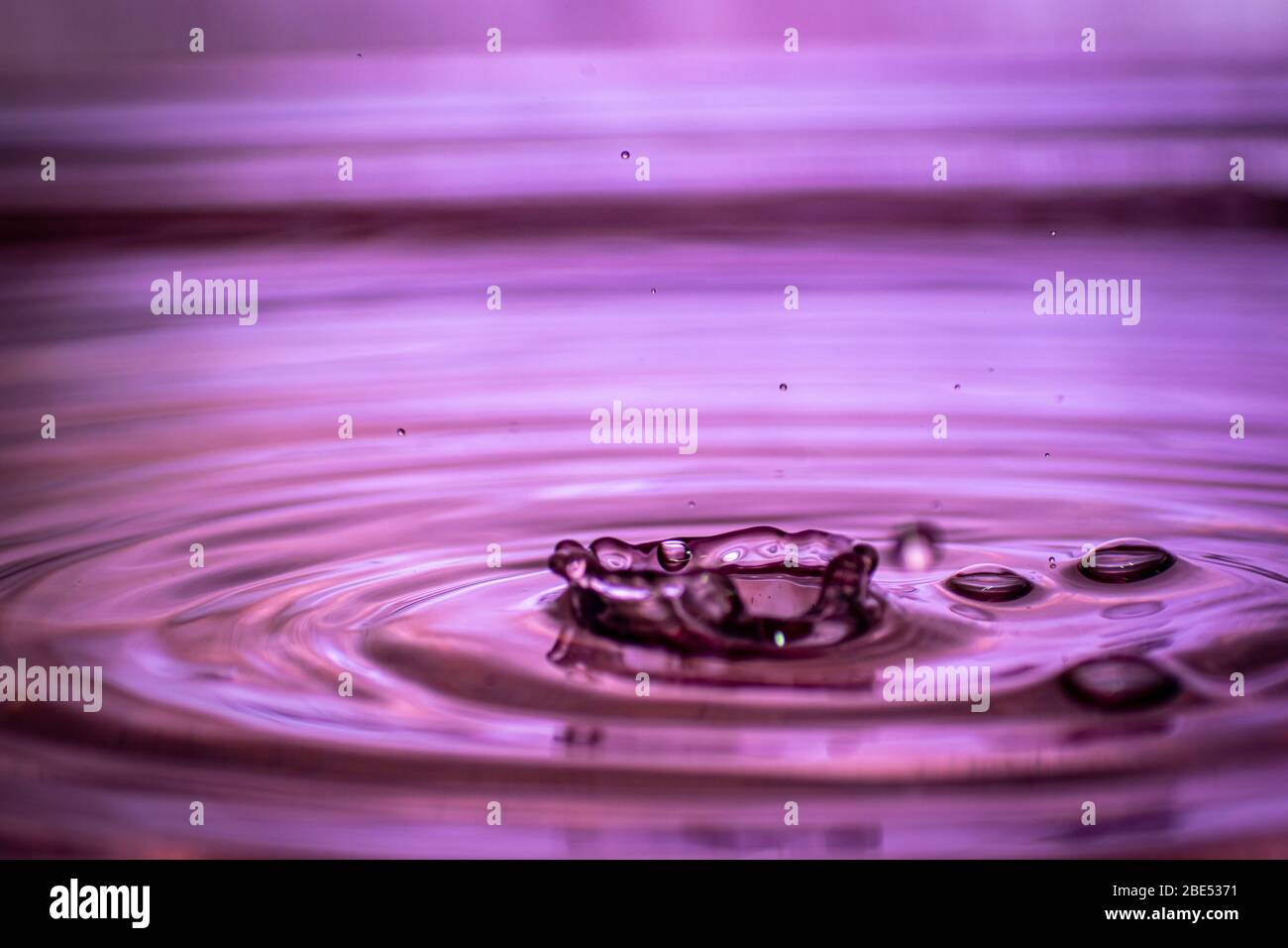 purple splash in to the water Stock Photo - Alamy