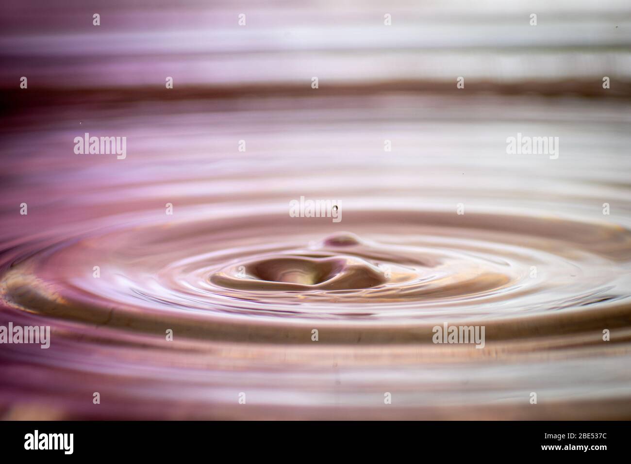 purple splash in to the water Stock Photo - Alamy