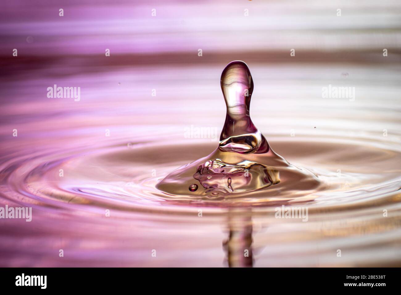 purple splash in to the water Stock Photo - Alamy
