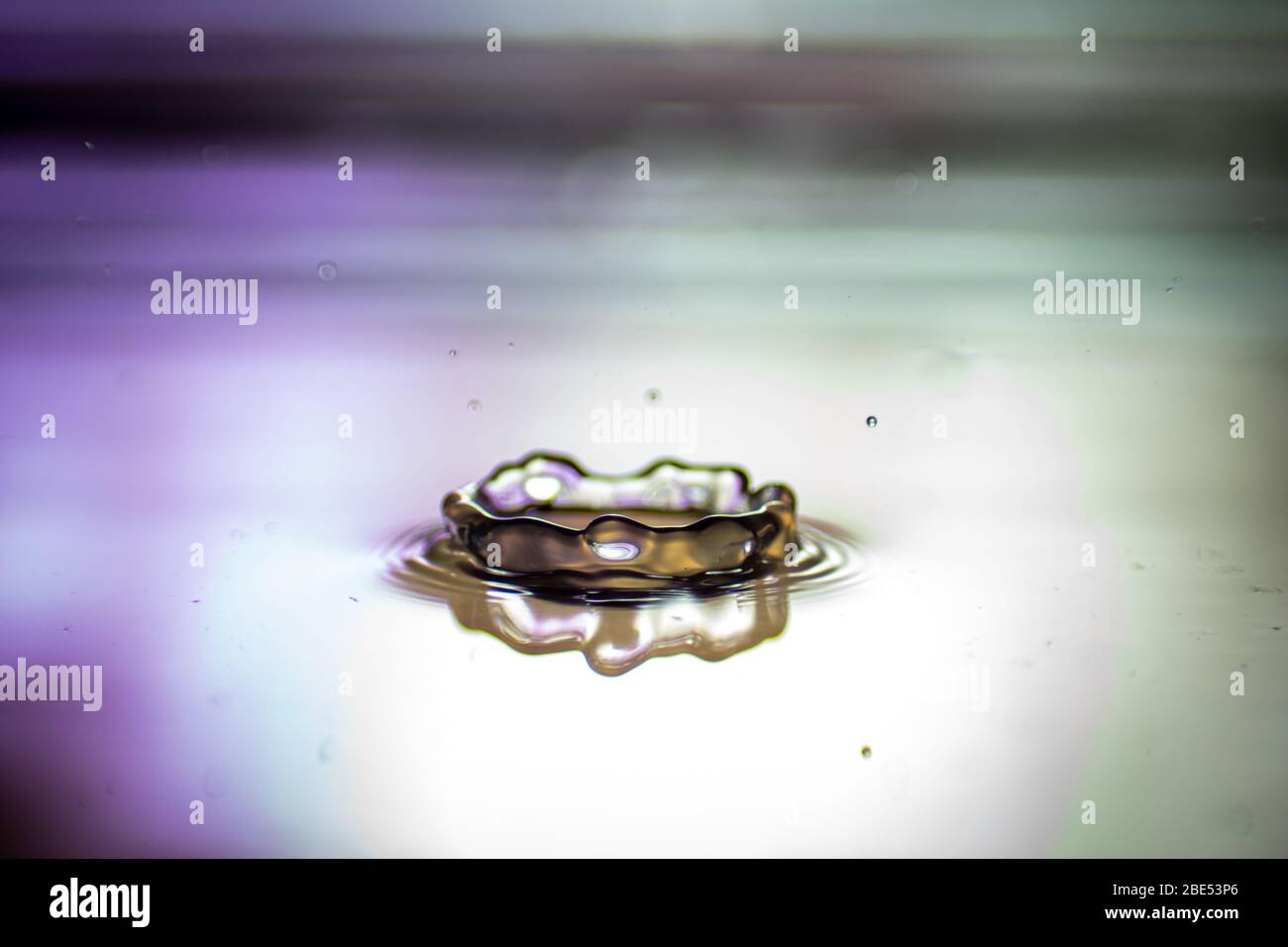 purple splash in to the water Stock Photo - Alamy