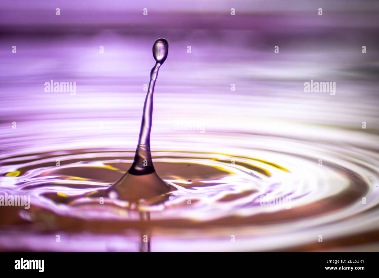 purple splash in to the water Stock Photo - Alamy