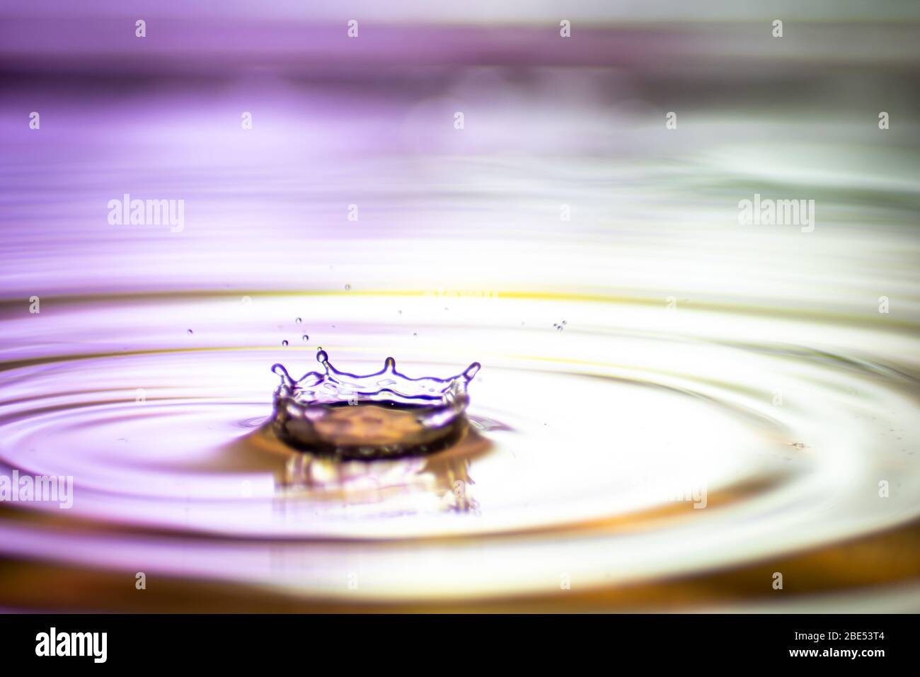 purple splash in to the water Stock Photo - Alamy