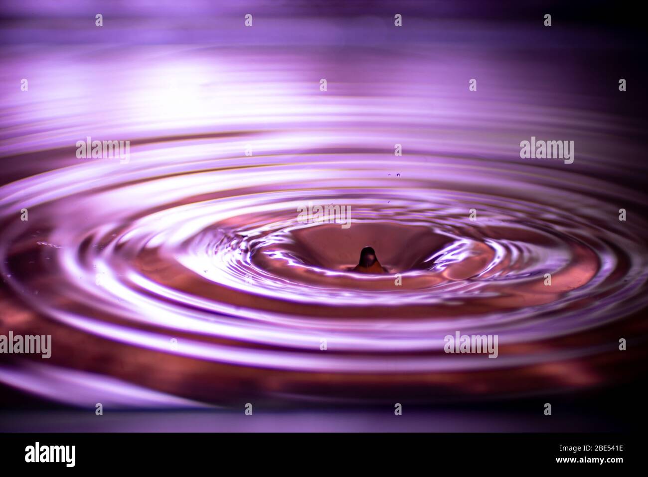 purple splash in to the water Stock Photo - Alamy
