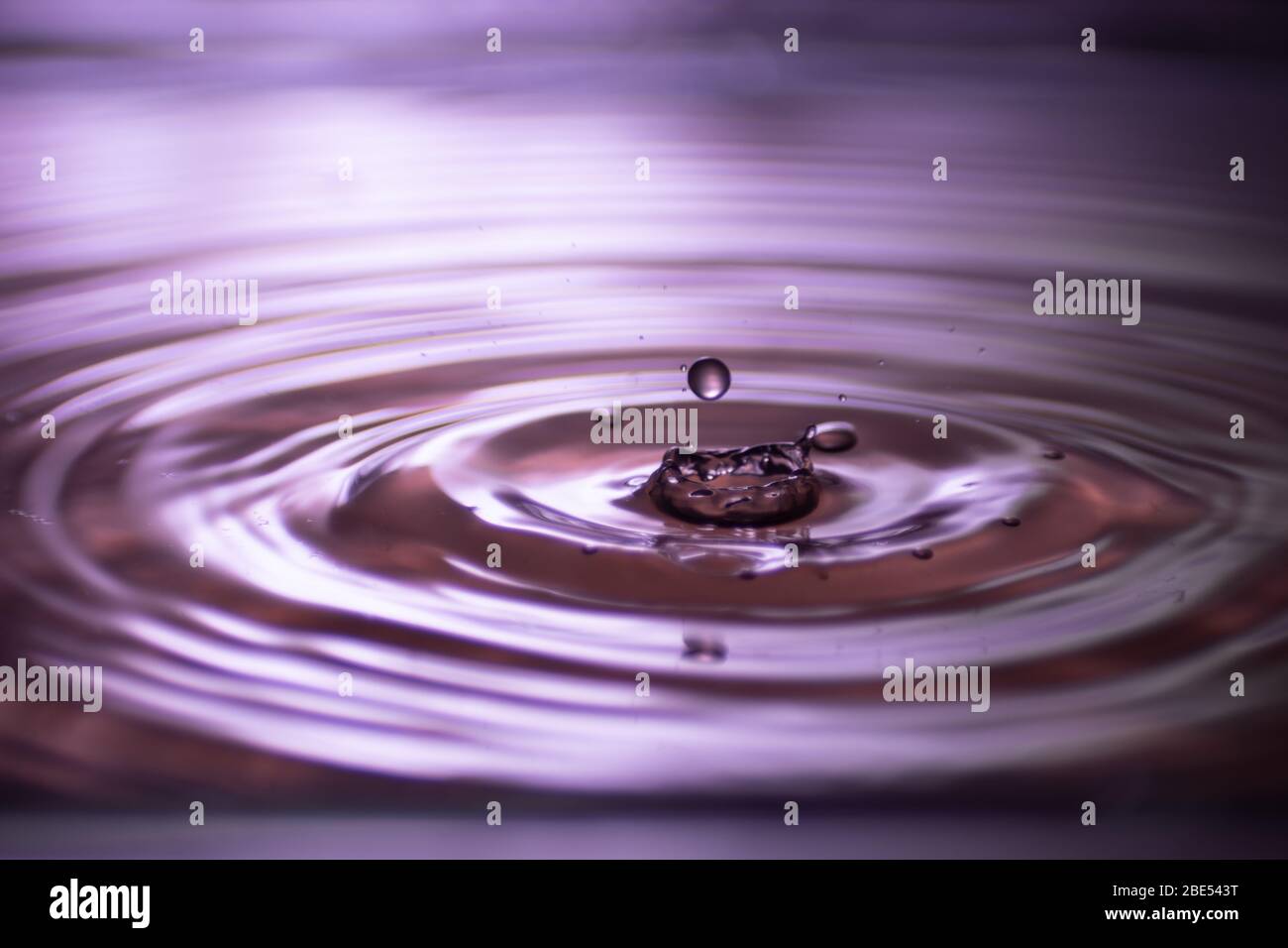 purple splash in to the water Stock Photo - Alamy