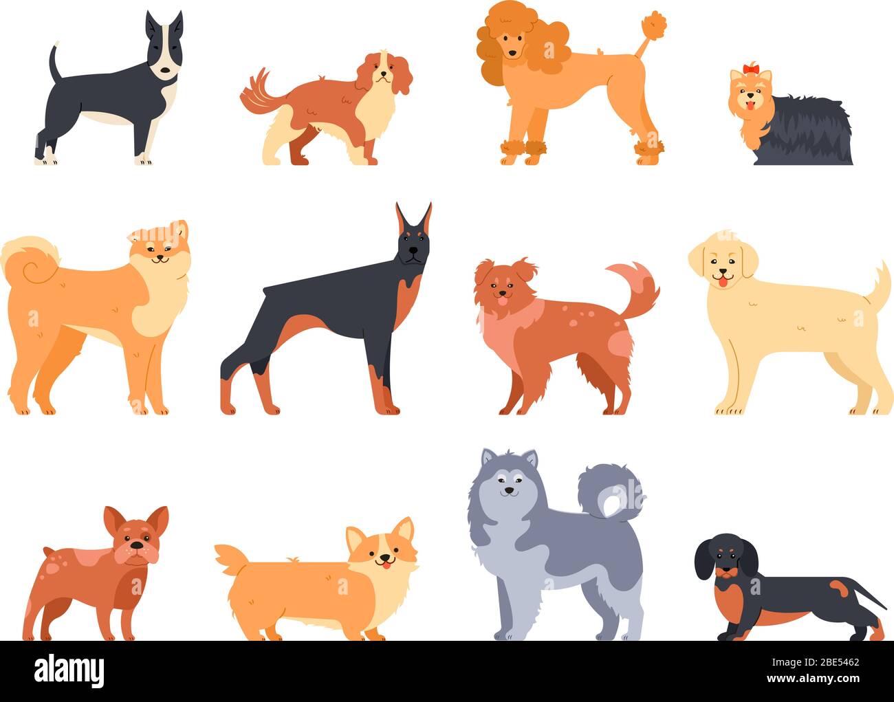 Breeds of dogs. Doberman dog, alaskan malamute, cute bulldog and akita ...