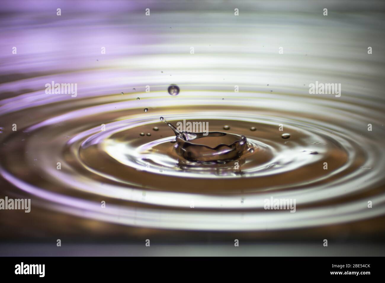 purple splash in to the water Stock Photo - Alamy