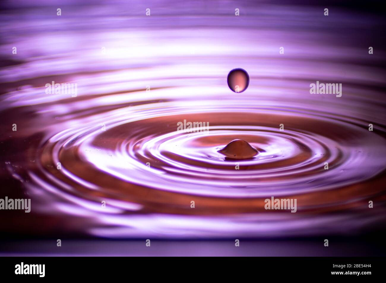 purple splash in to the water Stock Photo - Alamy