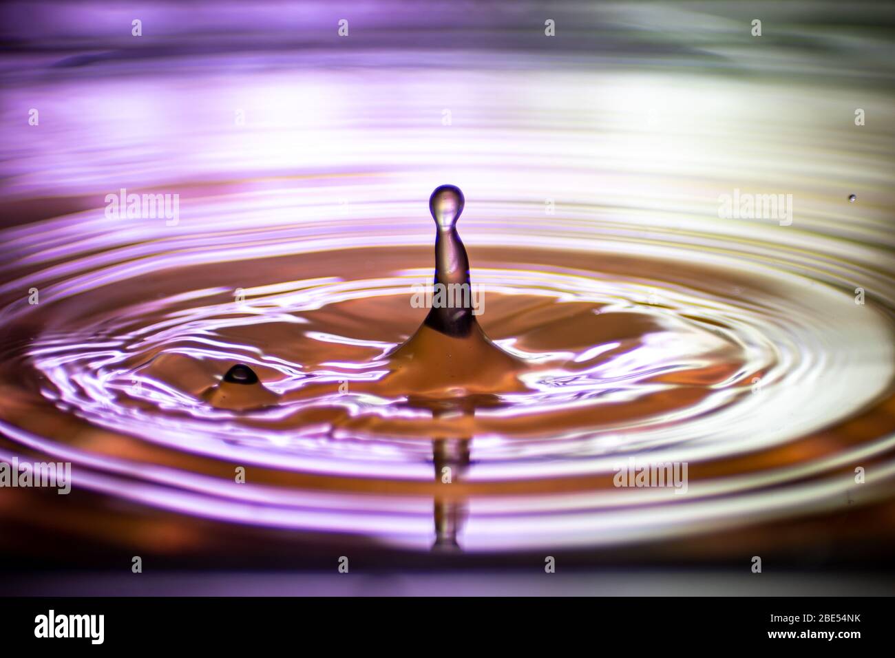 purple splash in to the water Stock Photo - Alamy