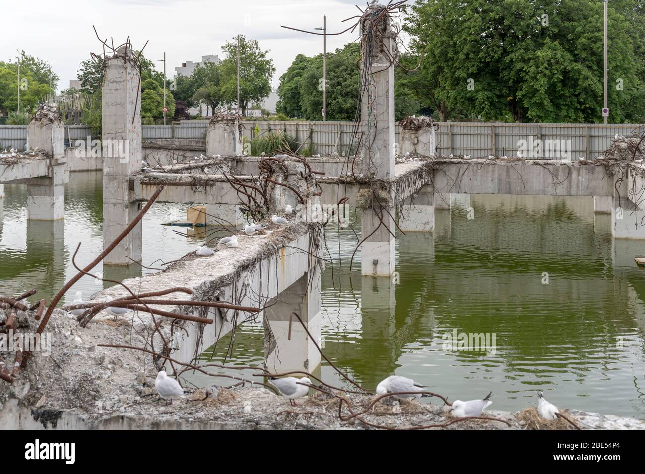 cityscape with seagulls on wrecked pillars and warped reinforcing steel ...