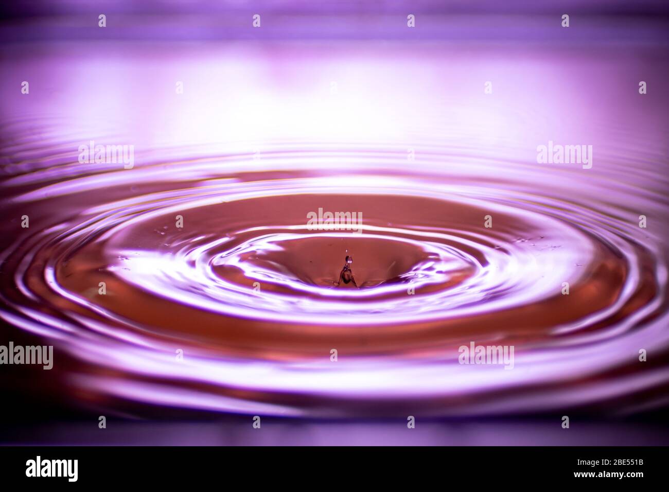 purple splash in to the water Stock Photo - Alamy