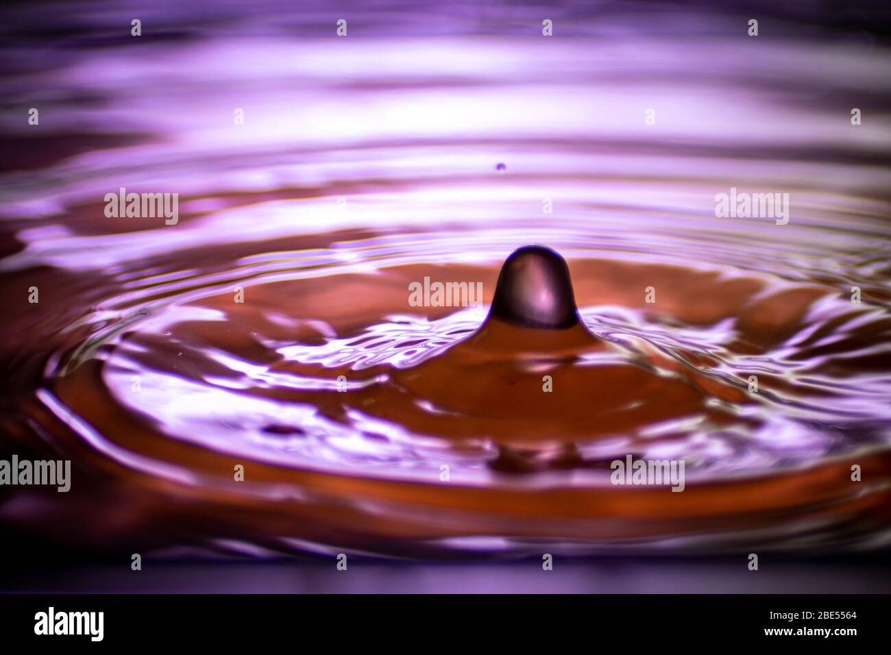purple splash in to the water Stock Photo - Alamy