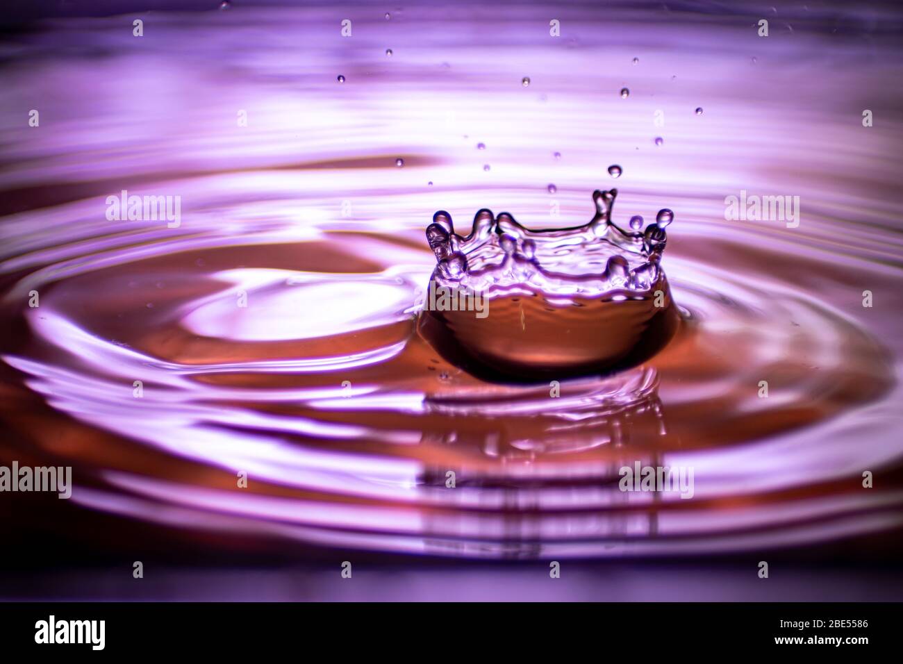 purple splash in to the water Stock Photo - Alamy