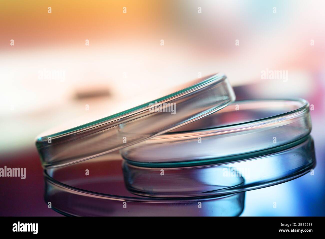 Empty petri dish with lid in laboratory Stock Photo - Alamy