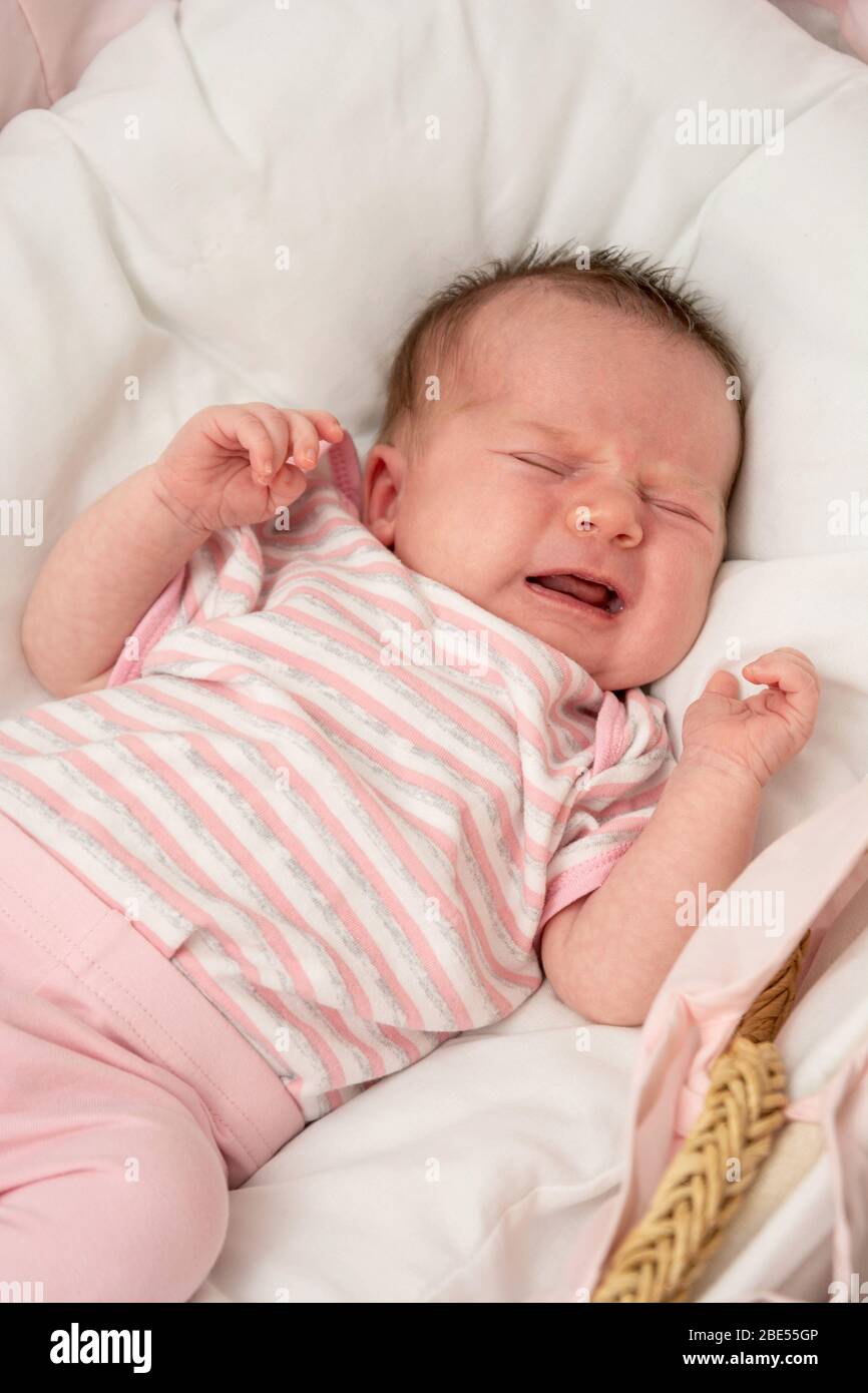 Newborn baby moses basket hi-res stock photography and images - Alamy