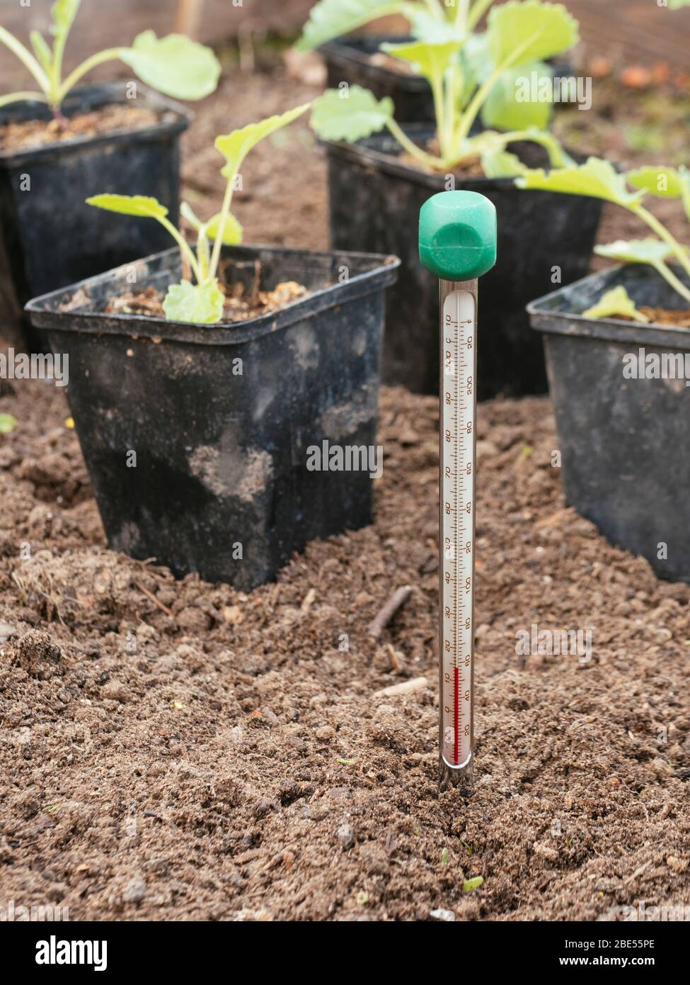 Soil thermometer hi-res stock photography and images - Alamy