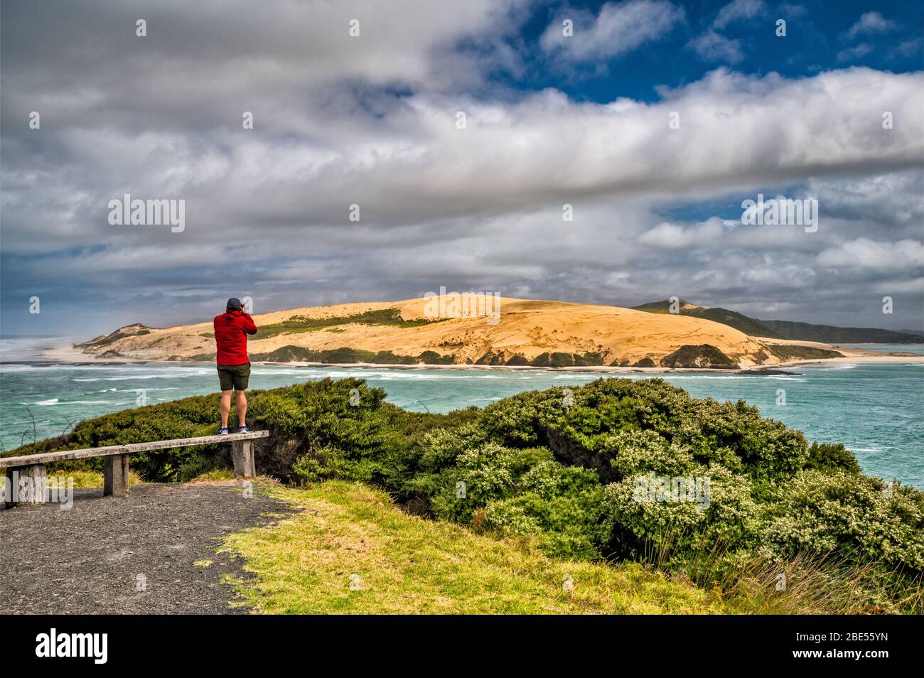 North Head sand dunes, Hokianga Harbour, Tasman Sea, view from South ...