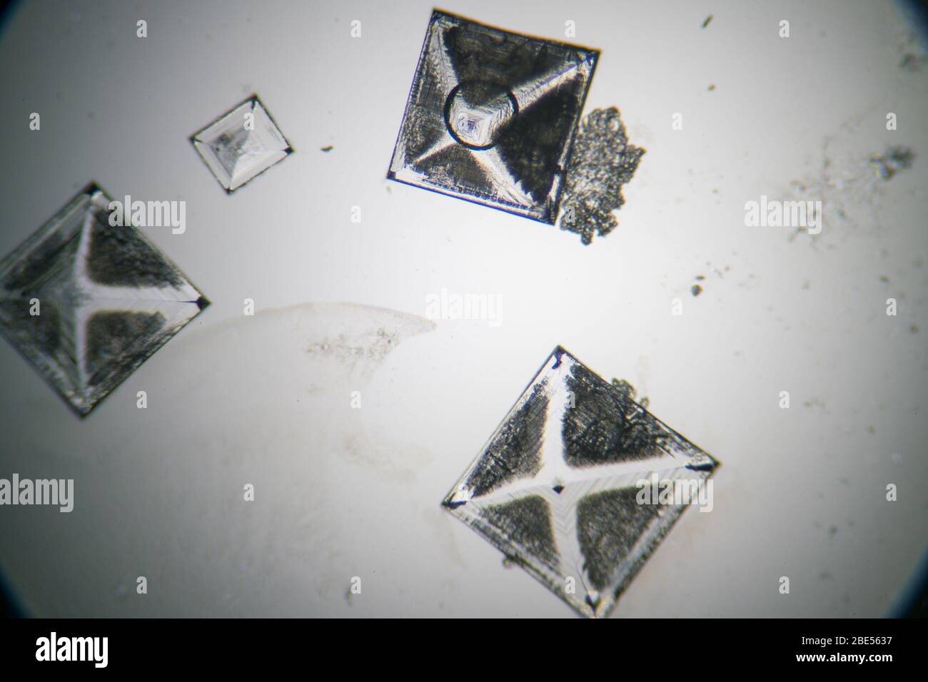 Image of crystals with magnification in a microscope Stock Photo - Alamy