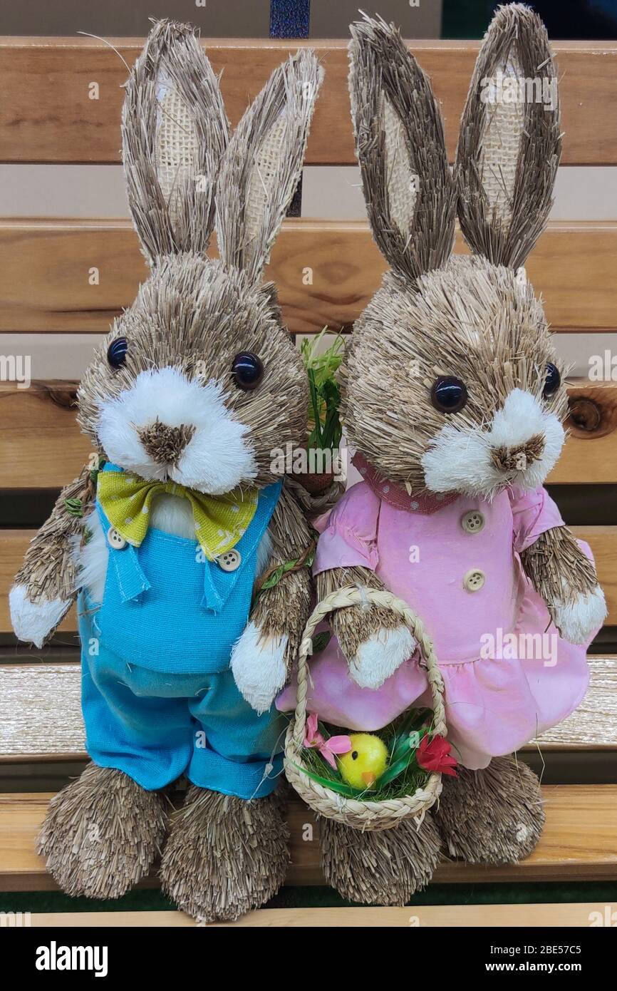 Two cute bunnies hi-res stock photography and images - Alamy