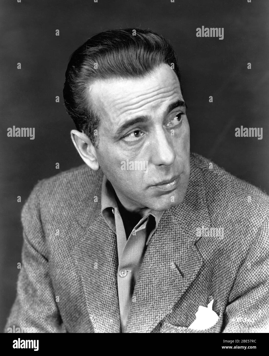 Delmer hi-res stock photography and images - Alamy