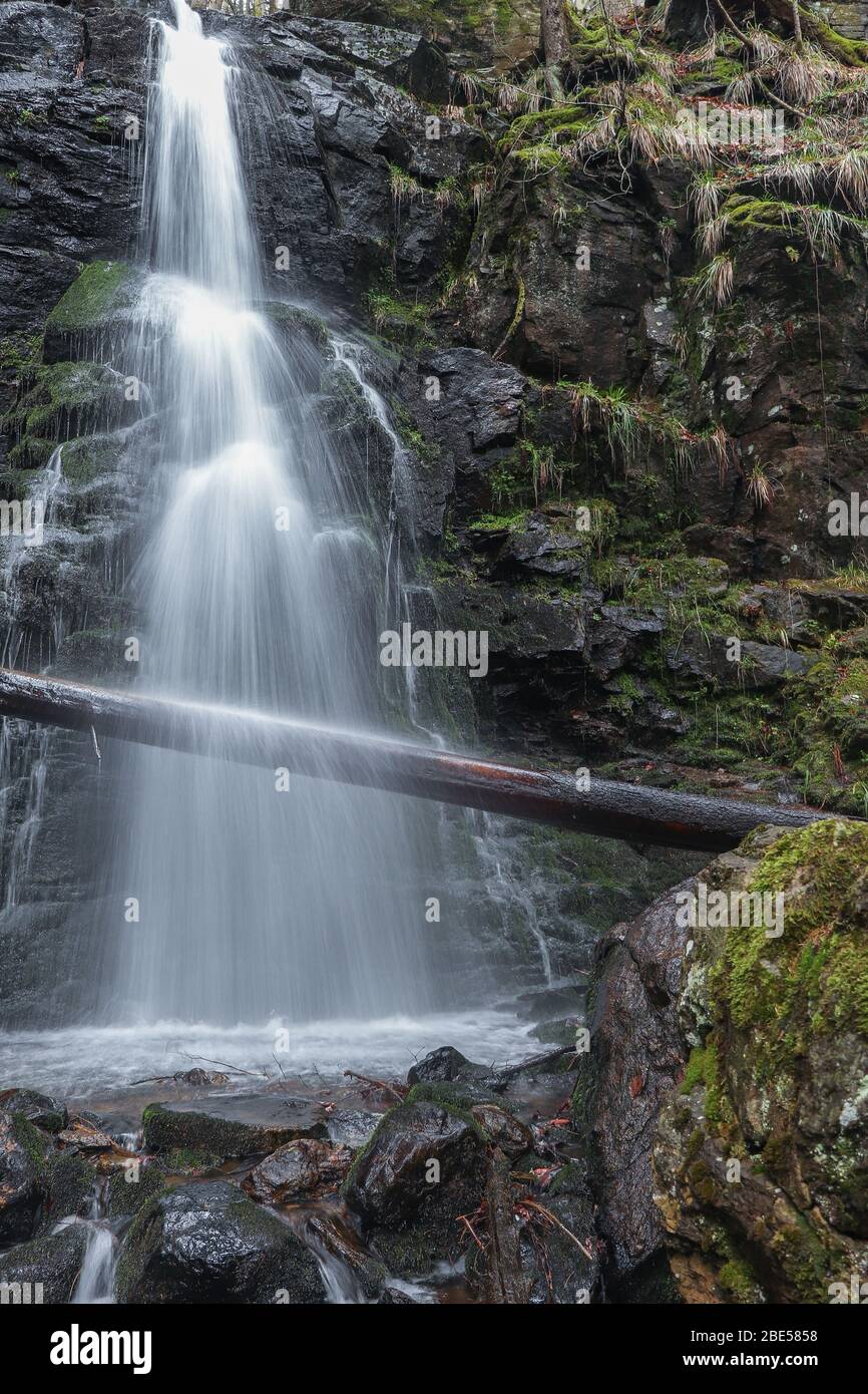 Waterfall cascading over log hi-res stock photography and images - Alamy