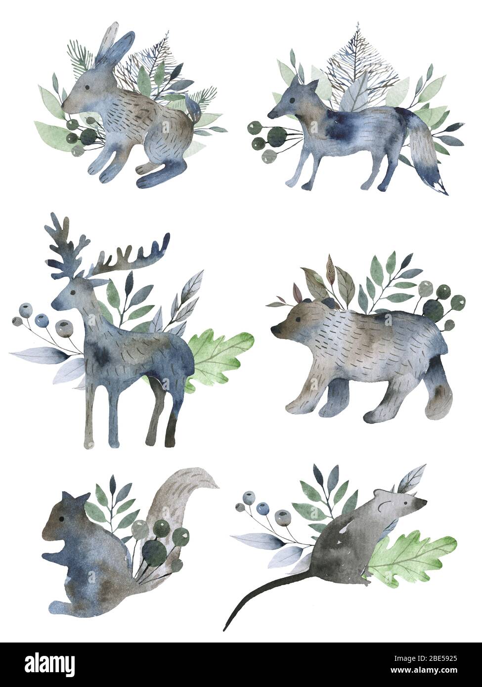 Collection of high detailed animals elegant, north Stock Photo - Alamy