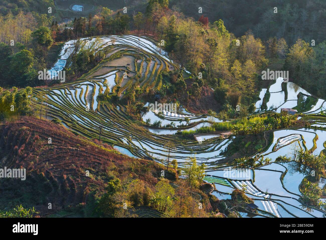 Yuanyang hi-res stock photography and images - Alamy