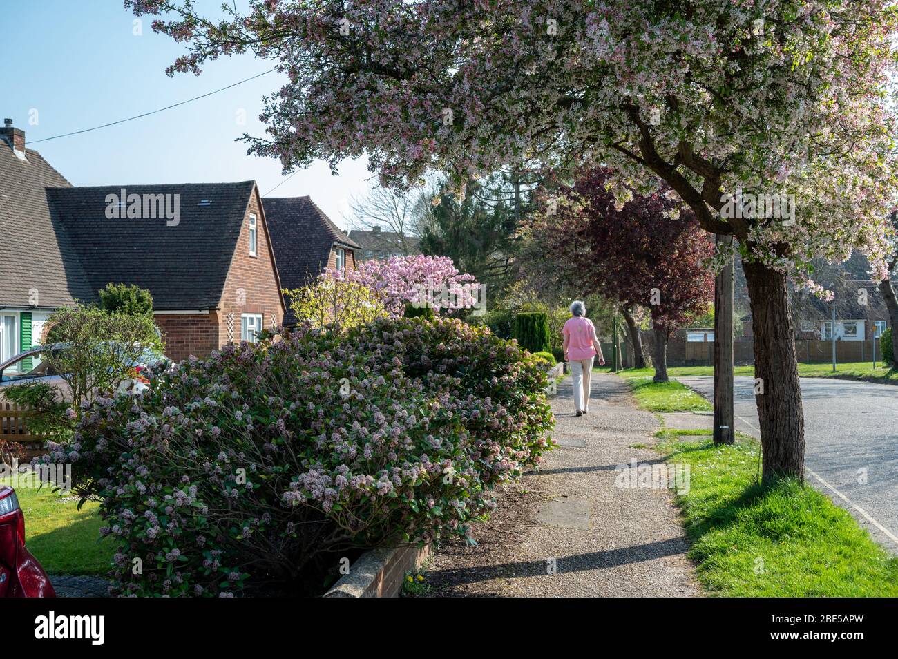 Nice bungalows hi-res stock photography and images - Alamy