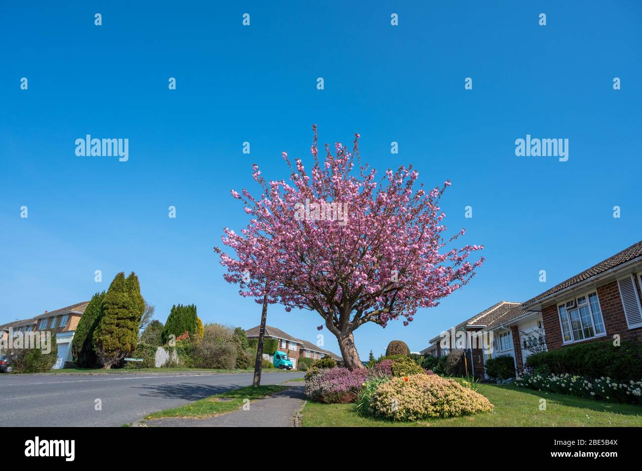 Springtime in suburbia. Residential road in Haywards Heath, West Sussex ...