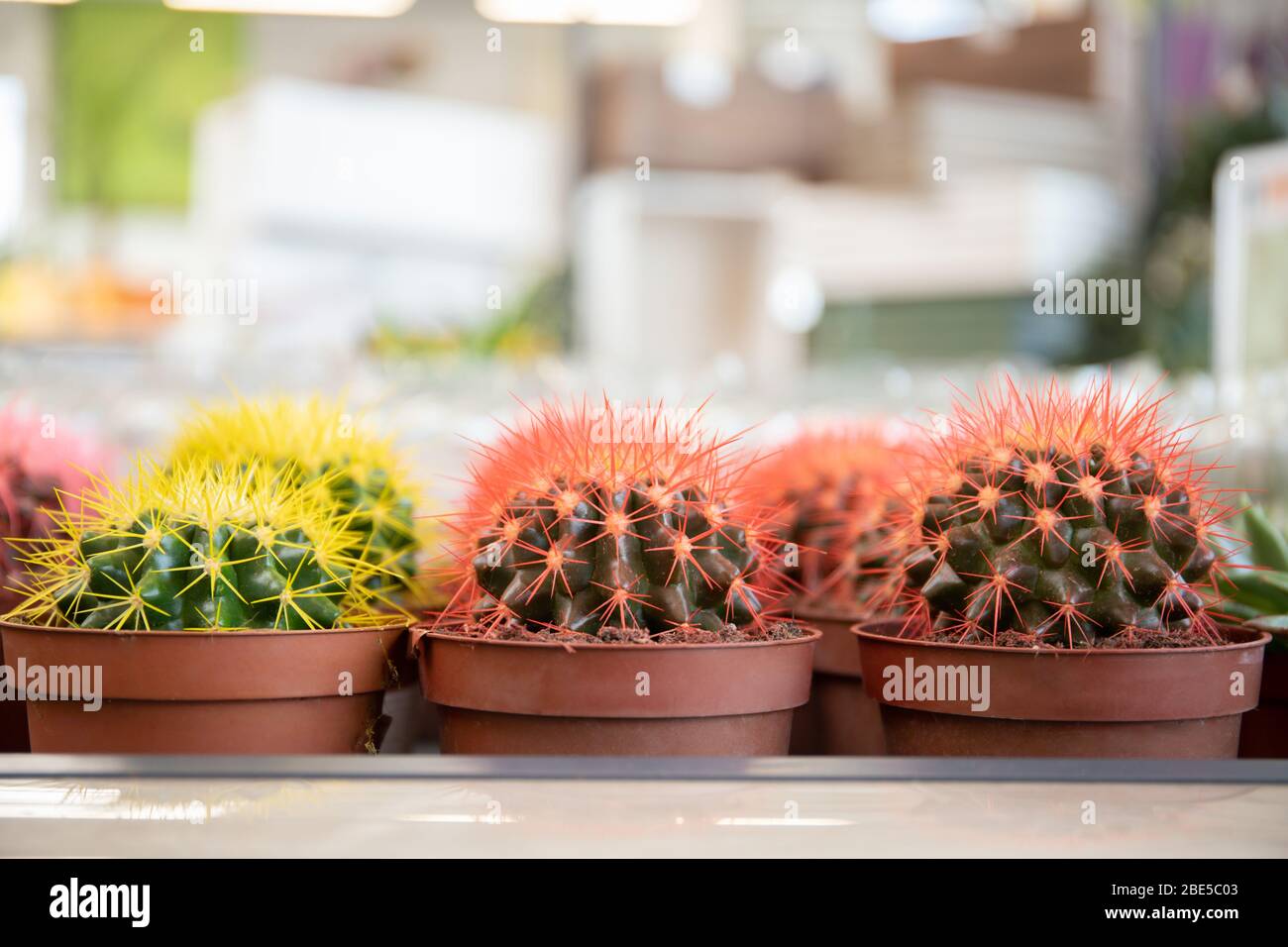 Retro photo color tropical hi-res stock photography and images - Alamy