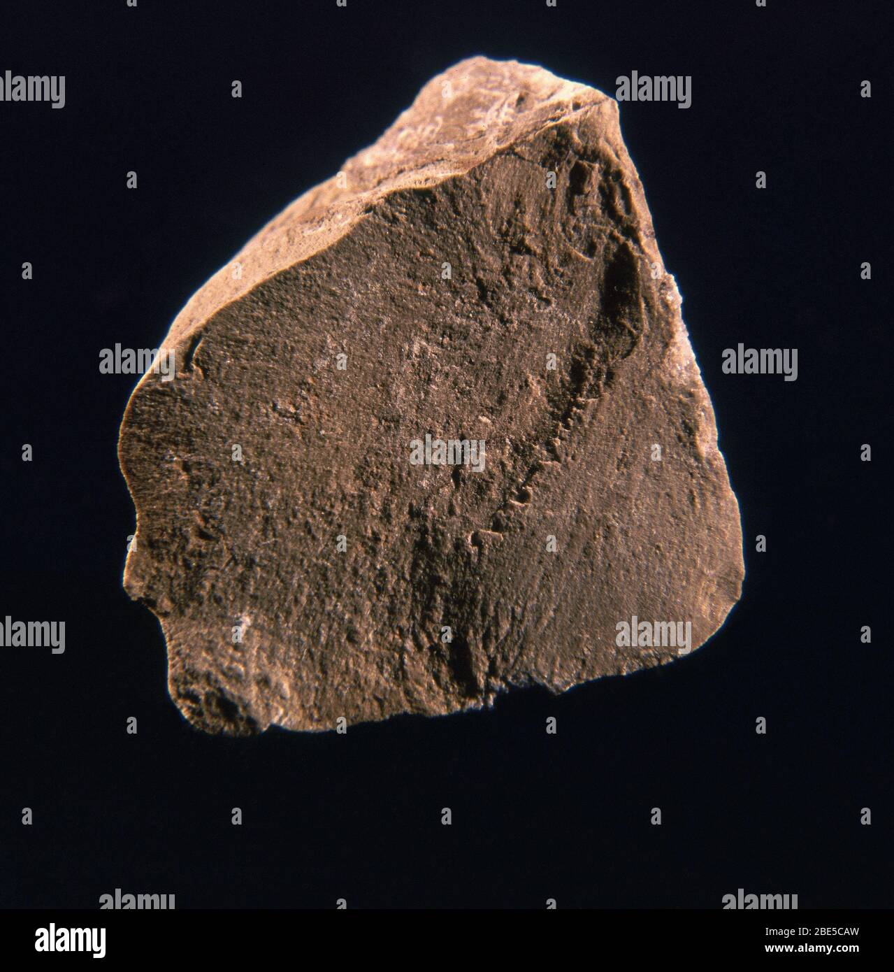 PIEDRA CALIZA (CARBONATO CALCICO Stock Photo - Alamy