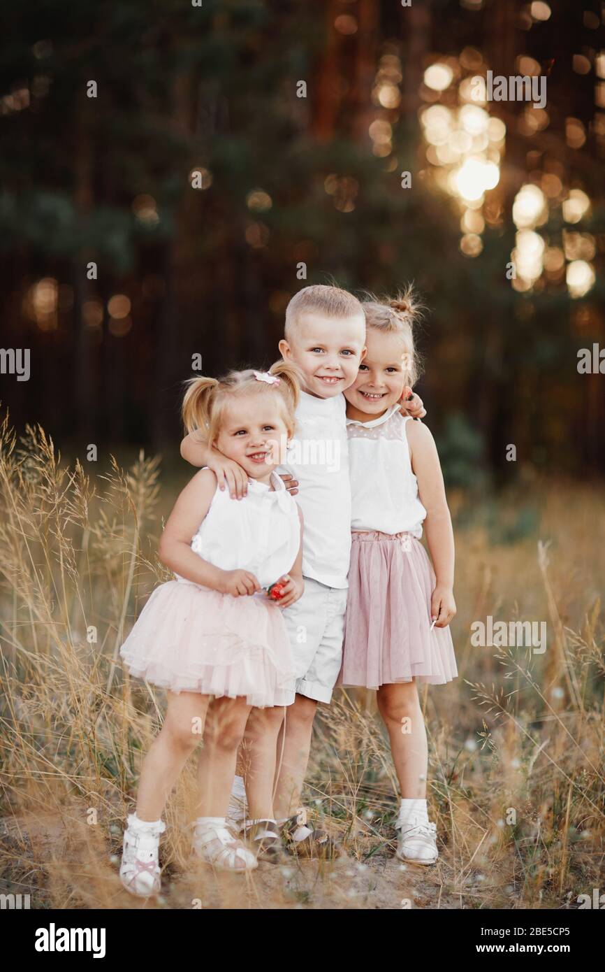 three children playing in the field in summer. young children playing ...
