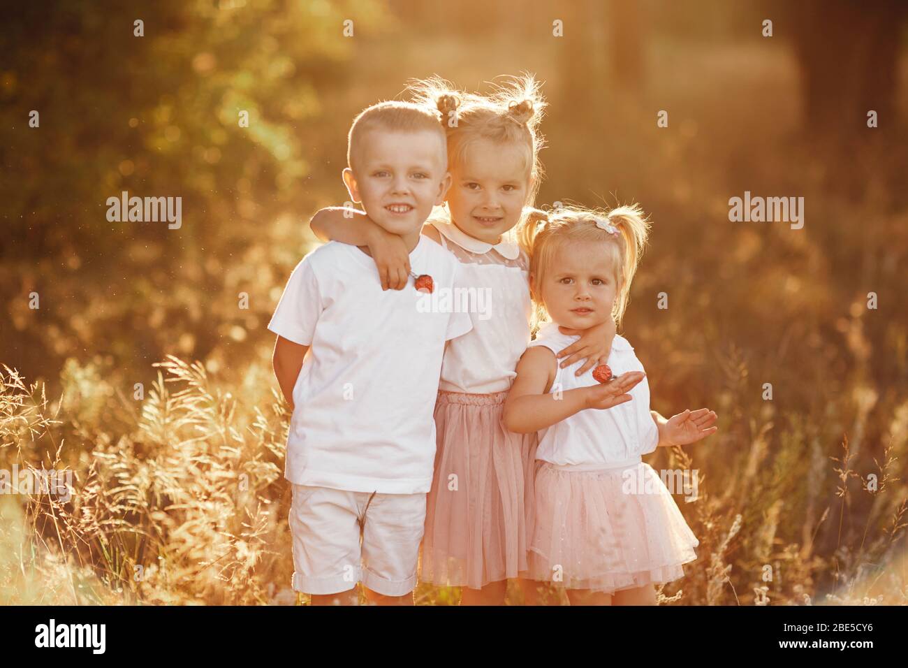 three children playing in the field in summer. young children playing ...