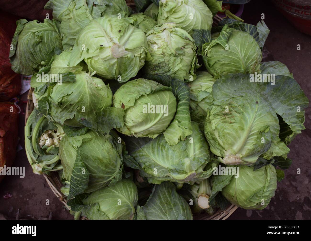 Indian Vegetable Market - Close of fresh and green Cabbage heap also ...