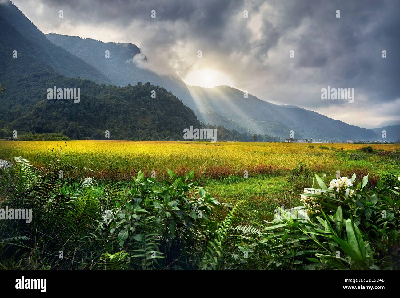 Pokhara city hi-res stock photography and images - Alamy