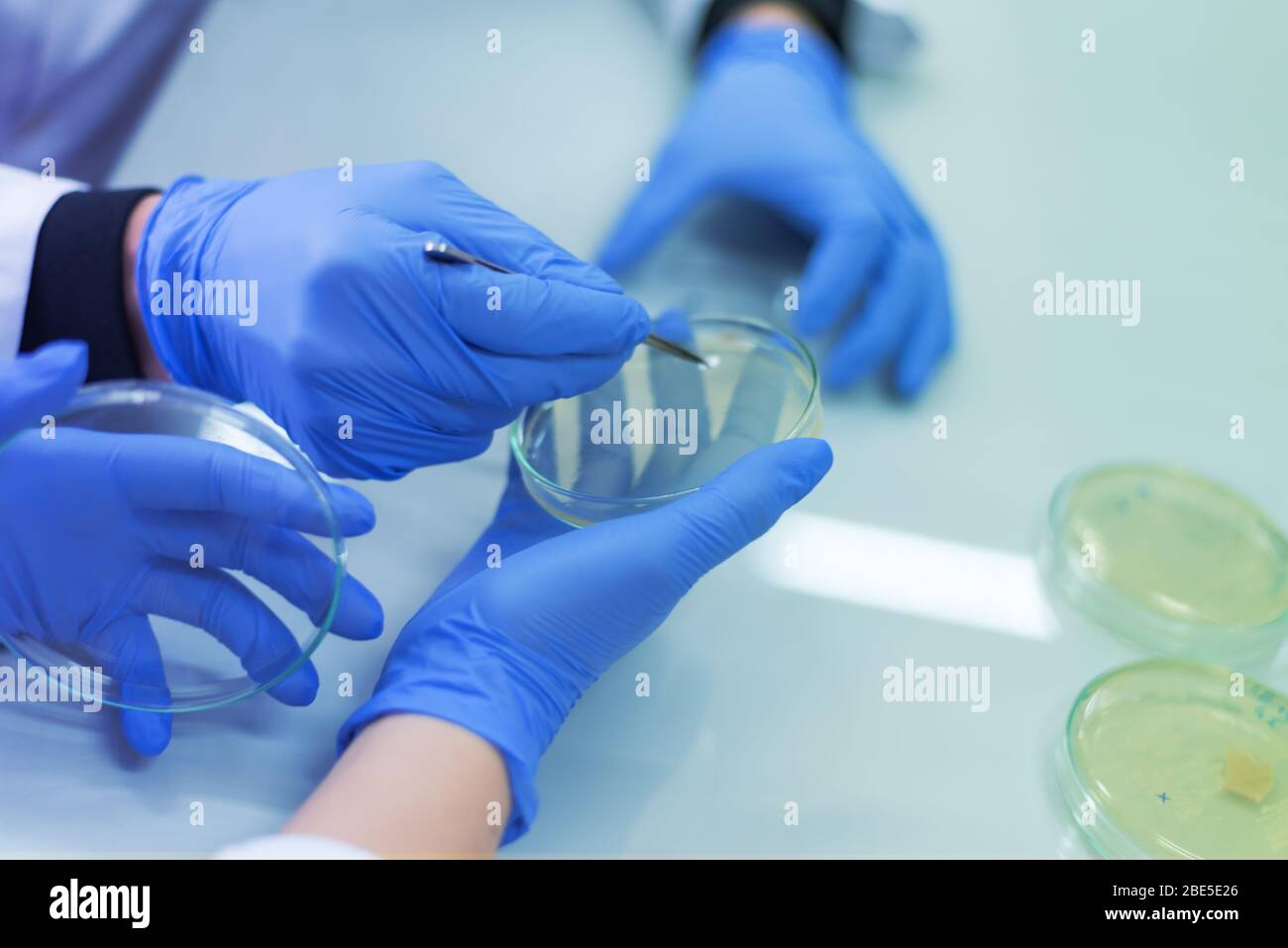 Group of Laboratory scientists working at lab with test tubes, test or ...
